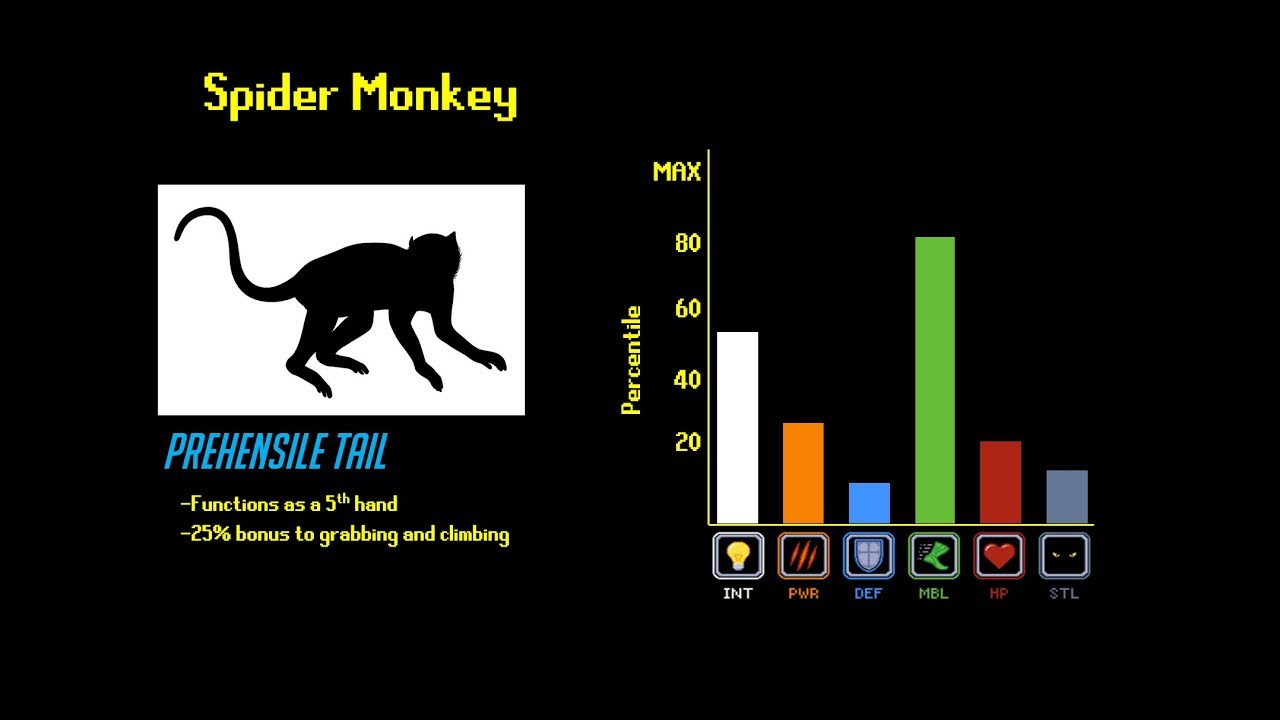 The Primate Tier List: From Clever Monkeys to Deadly Apes