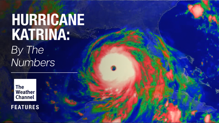 Four seriously injured in multi-vehicle crash in North Hampton, NH