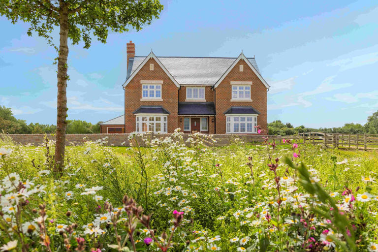 Protecting the birds – housebuilder extends partnership with RSPB