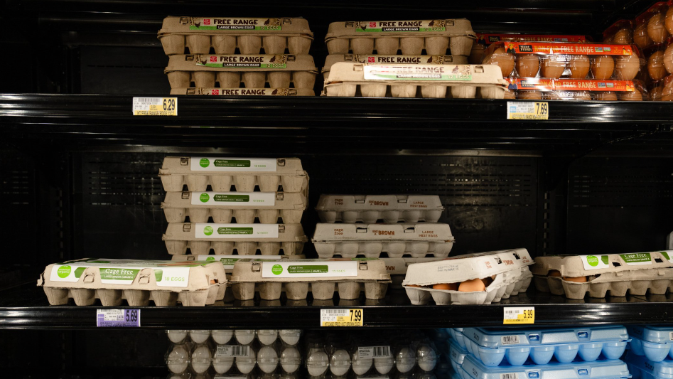 ‘What do we have to lean on?': SNAP cuts could have big local consequences