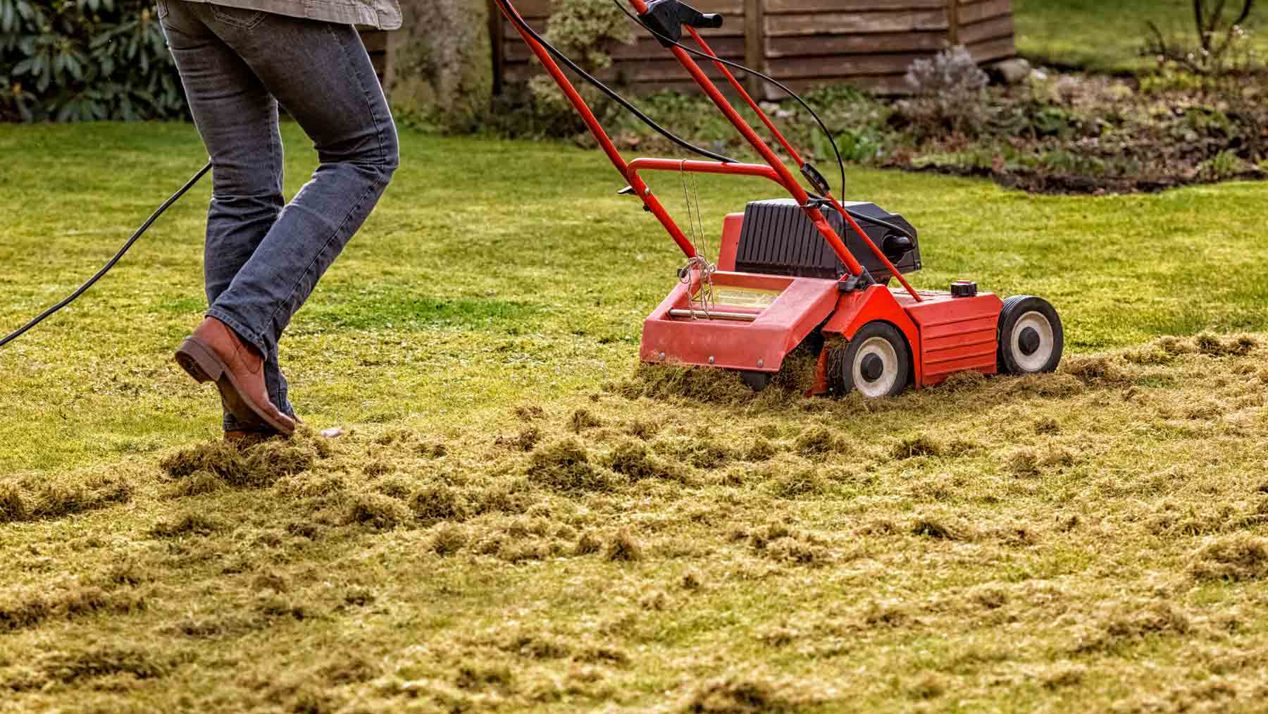 How Often Should You Dethatch Your Lawn?