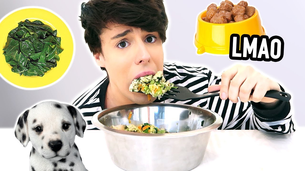 I only made dog food recipes for one full day