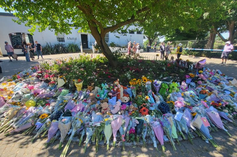 Police share major update on young girl injured in tragic Southend tree ...