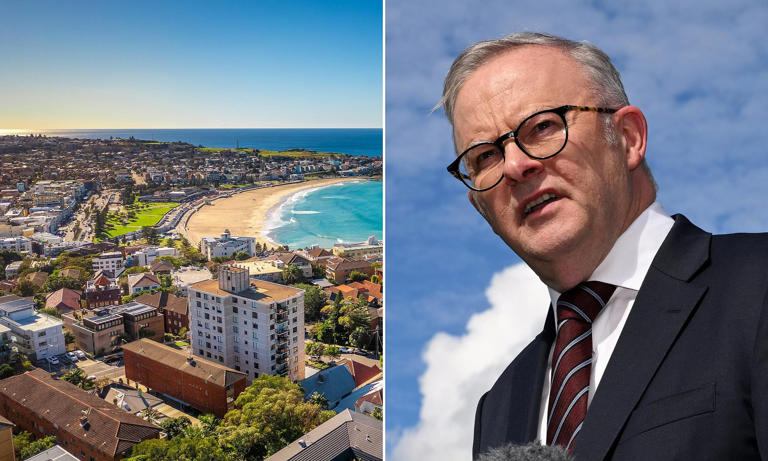 Albo's new housing rort exposed - as peak insurance body warns it will ...