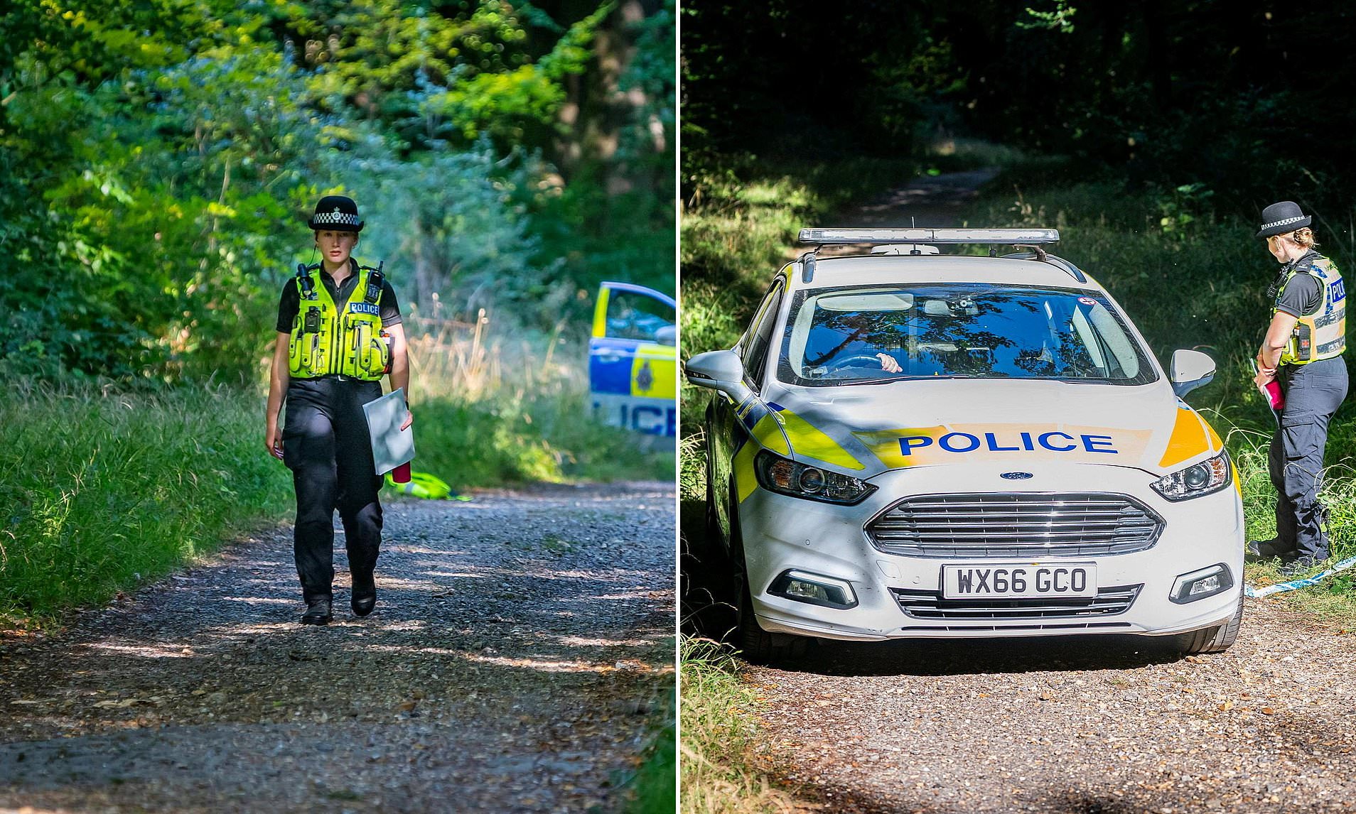 Urgent probe after dog walker discovers 'charred' human remains in woodland