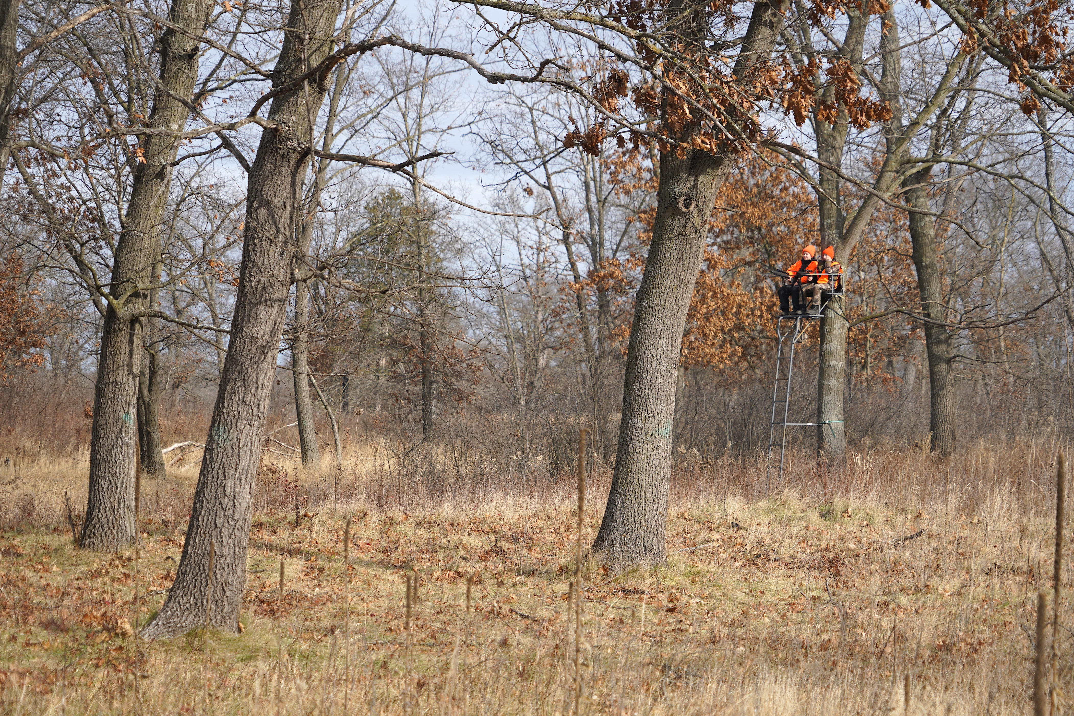 Minnesota's missing persons investigators are asking deer hunters to ...