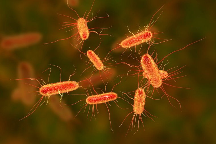 What your stomach ache really means – and what to do about it