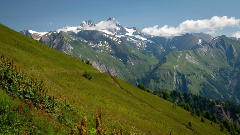 Prelude to Greatness: We Drive Every Generation of the Honda Prelude