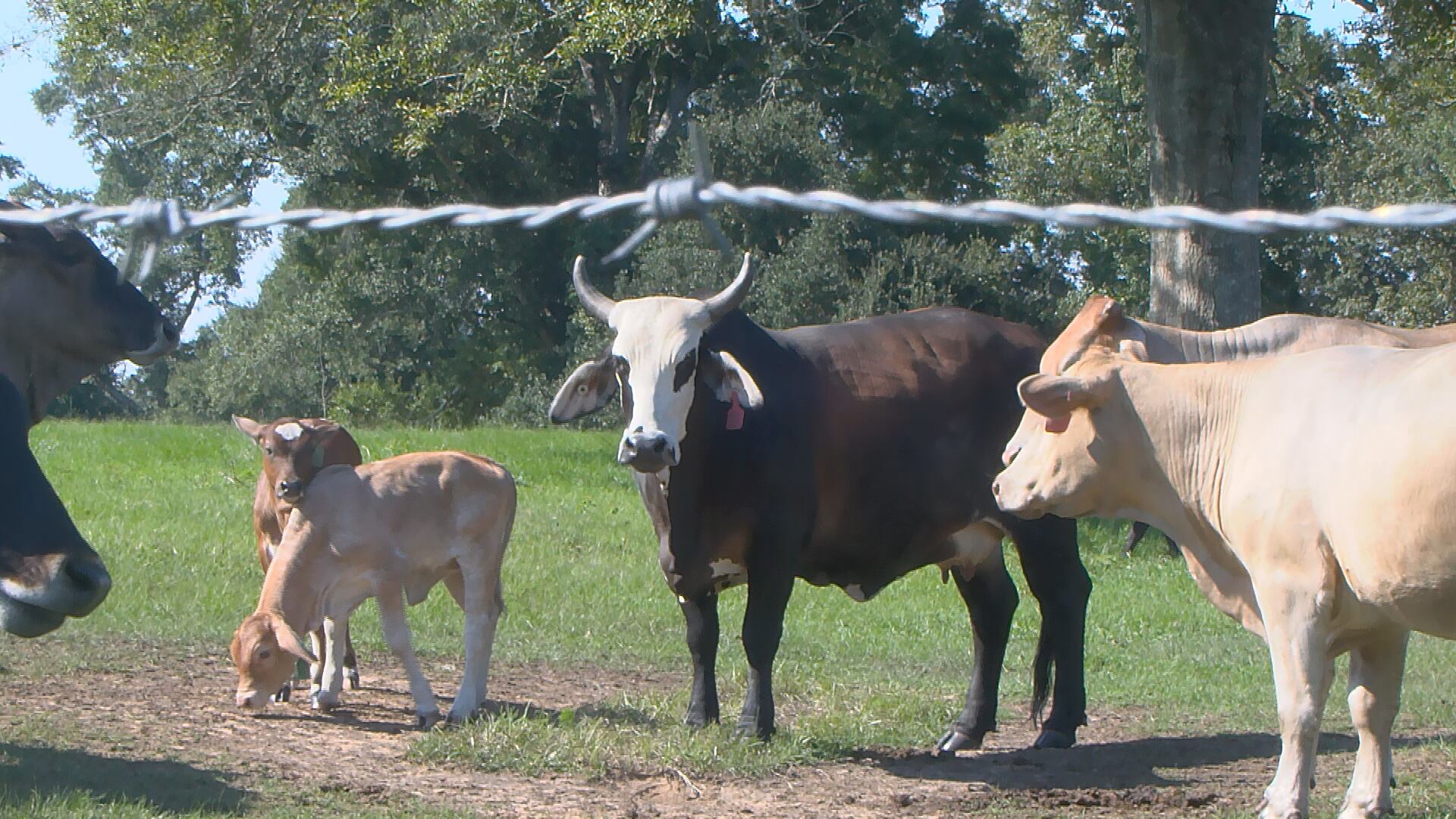 Farmers fear lasting damage after Roseland explosion