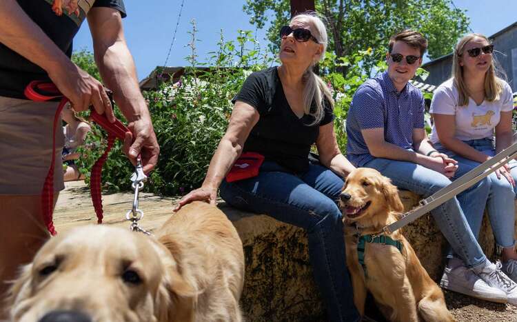 It's National Dog Day! Ready to adopt in Austin? These shelters ...