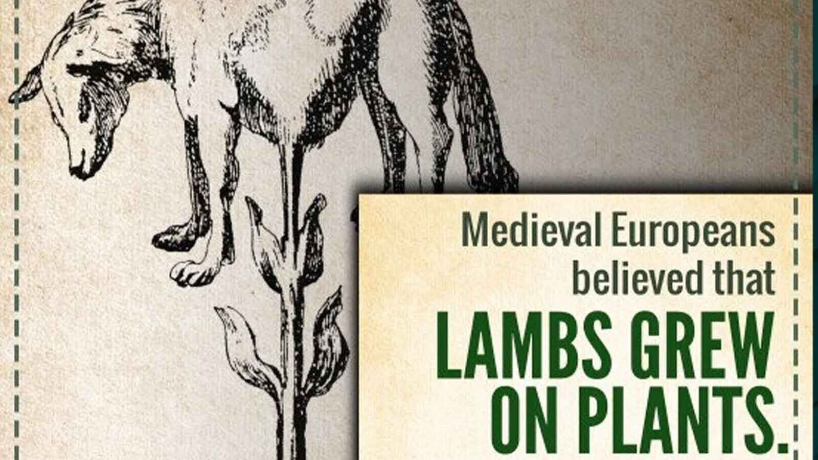 13 Past 'Scientific' Beliefs That Were Quite Wrong