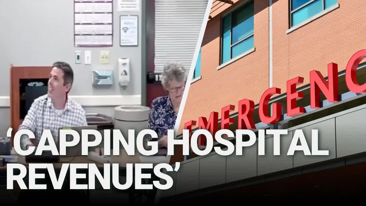 Capping hospital revenues is not going to lead to the savings you all ...