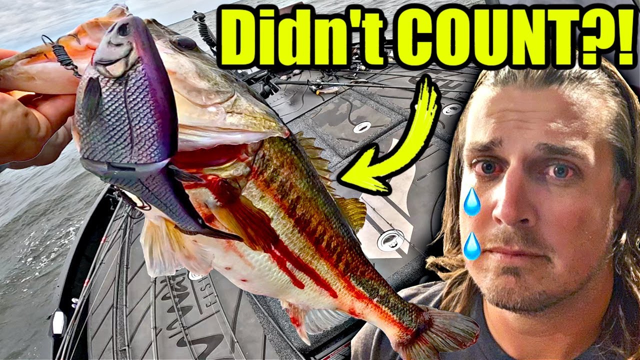 Why I completely regret catching this double digit bass