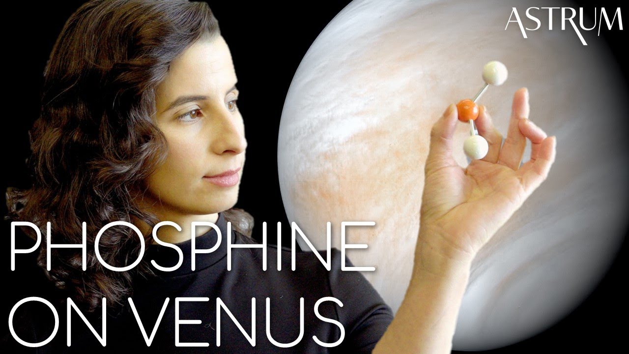 Microbes Could Still Survive in the Temperate Layer of Venus’s Atmosphere