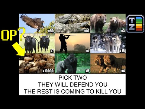 The Optimal Team Comp: Science Reveals the Perfect Balance