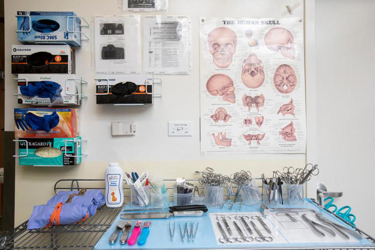 Idaho’s Coroner System Is “Broken and a Joke.” Here Are 5 Ideas From ...