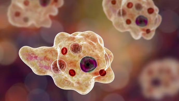 Kerala records 18 active cases of brain-eating amoeba, launches ...