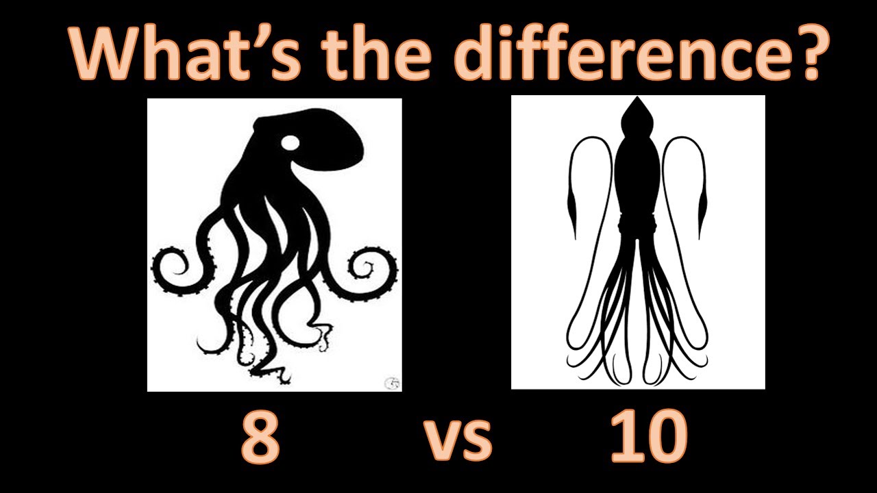 How Many Arms Does Evolution Think We Should Have?