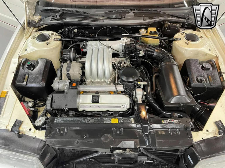 Strange Designs Of The Eighties, Part Two