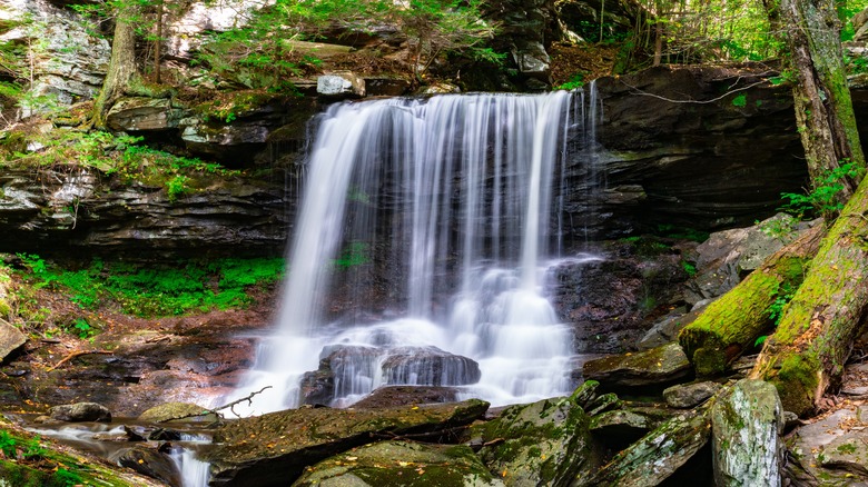 Northeastern Pennsylvania's Ethereal State Park Offers Boating ...