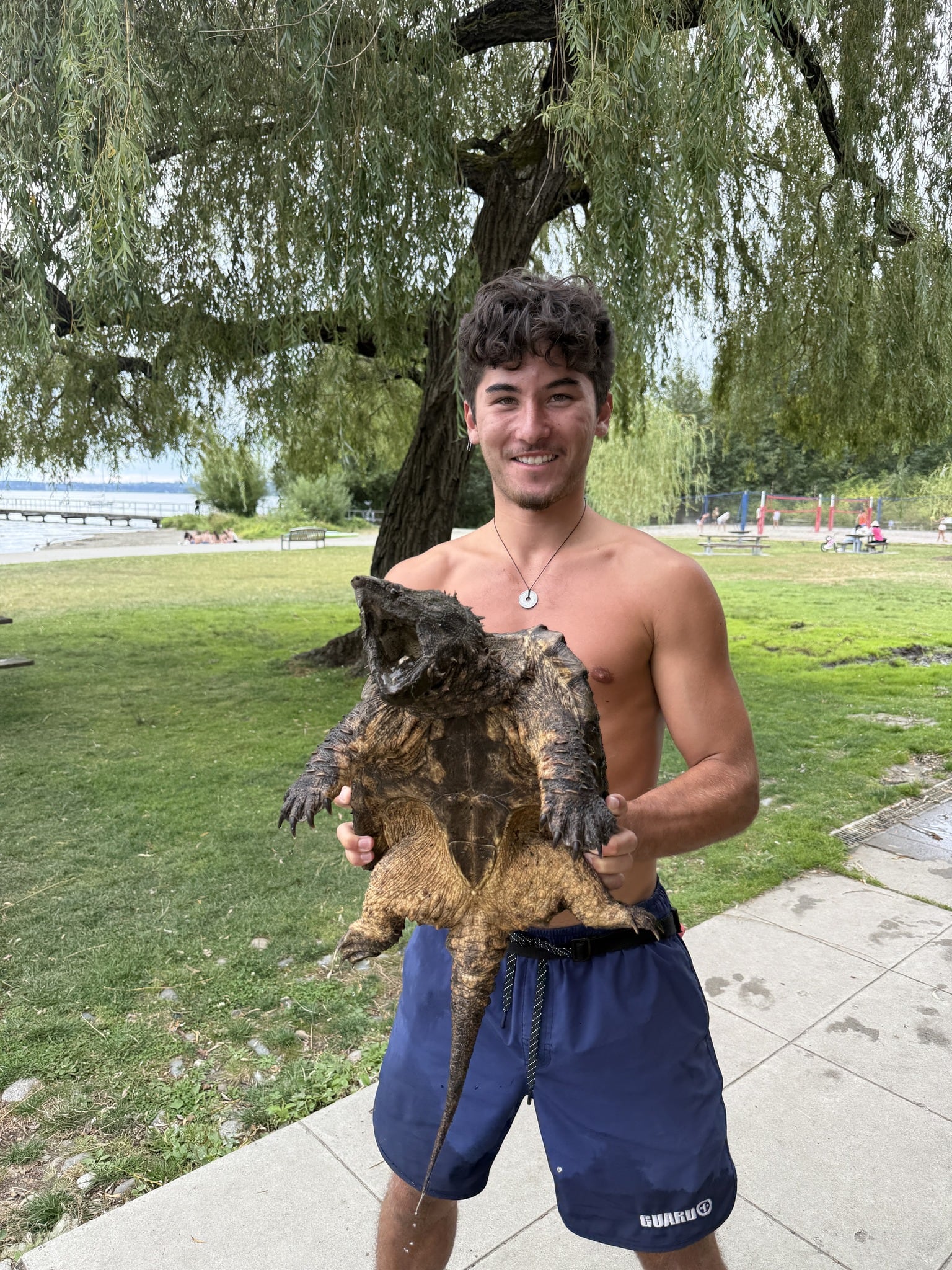 Kirkland lifeguard removes alligator snapping turtle from Juanita Beach