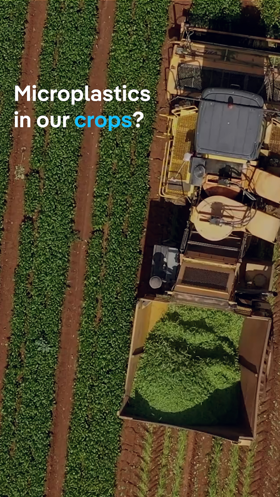 Microplastics in our crops?
