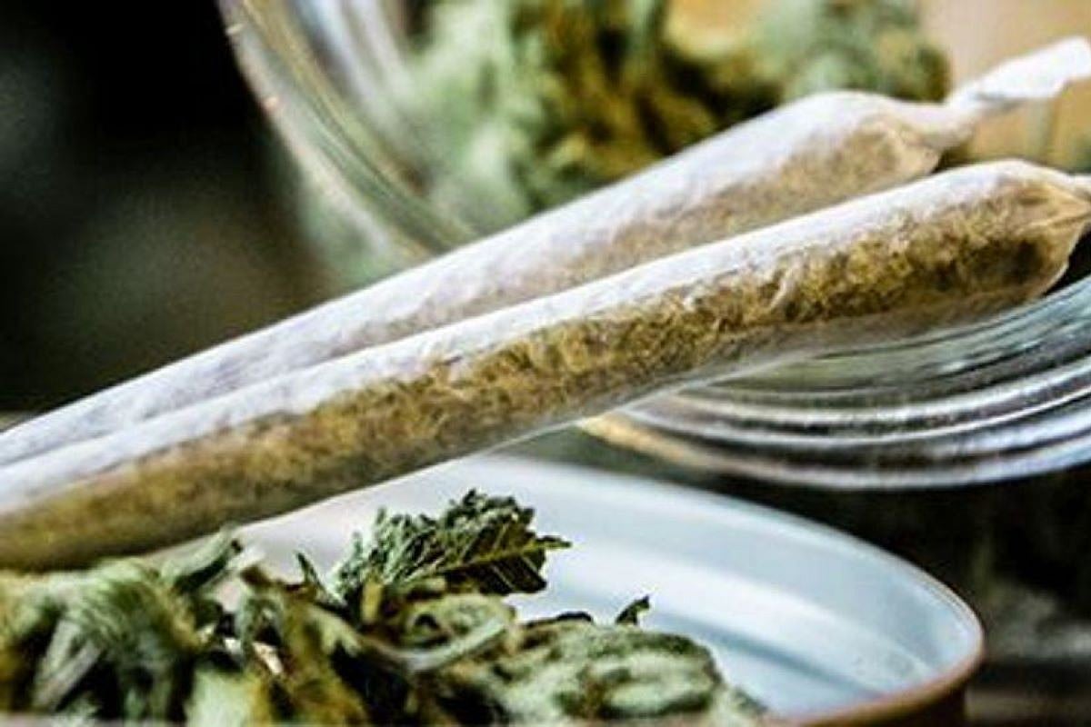 High-Potency Pot and the Risk for Psychosis