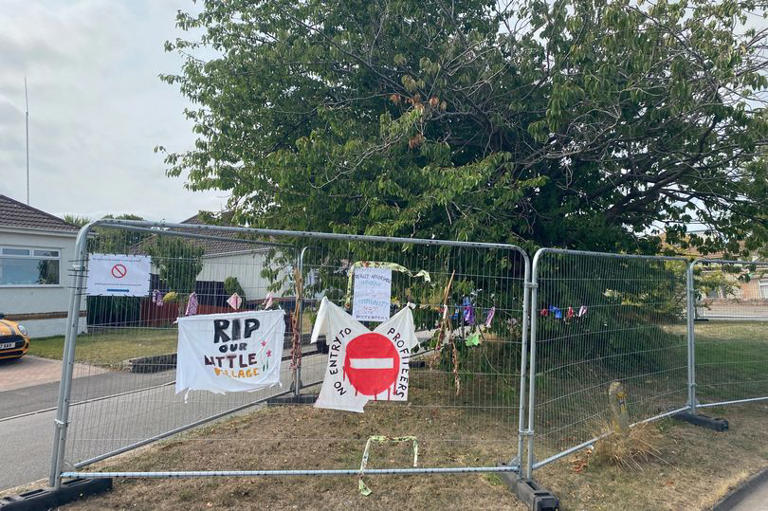 Village's iconic 'strawberries and cream' tree in Backwell 'struggling'