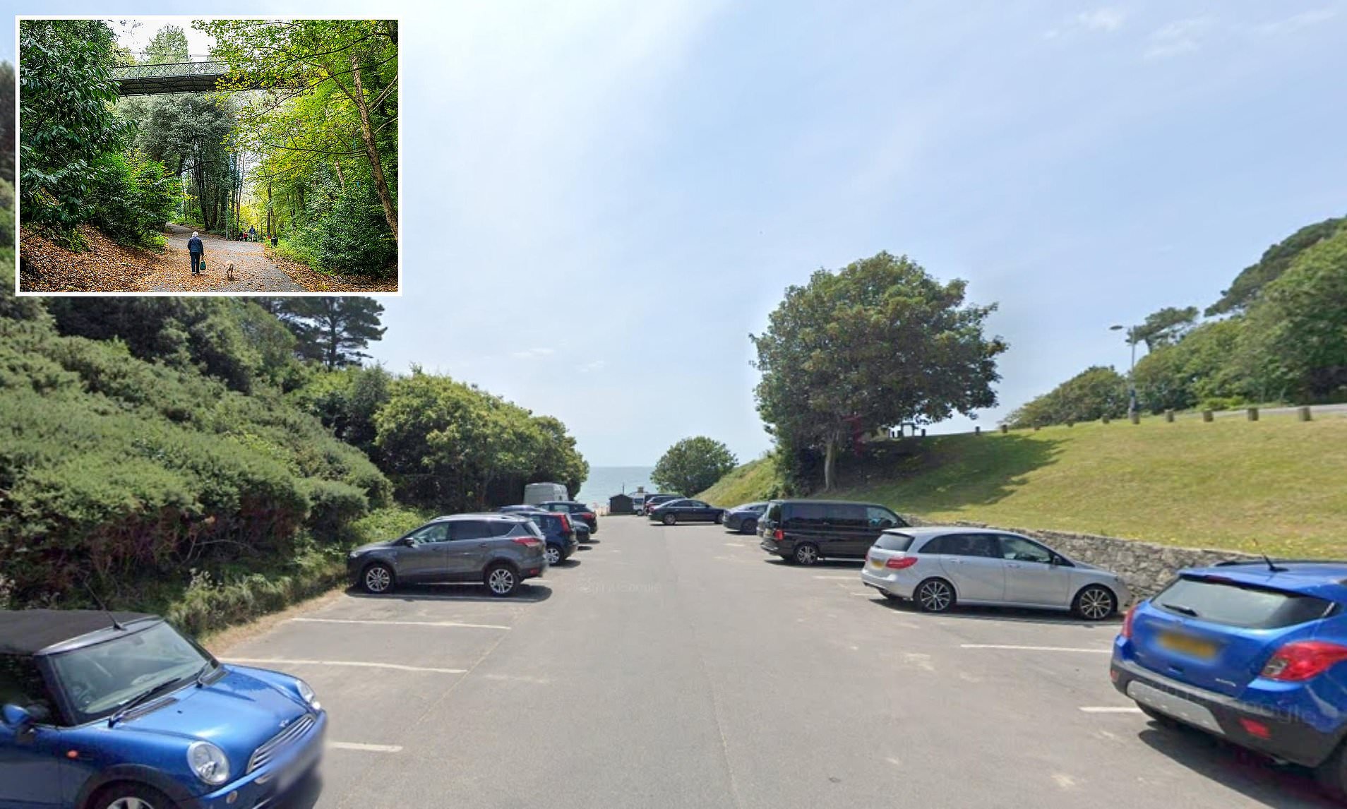 Dog walker BITES another man out walking his pet in bizarre brawl, as ...