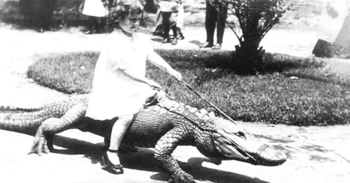 Twenty Photos of the Roaring 1920s Being a Wild Time