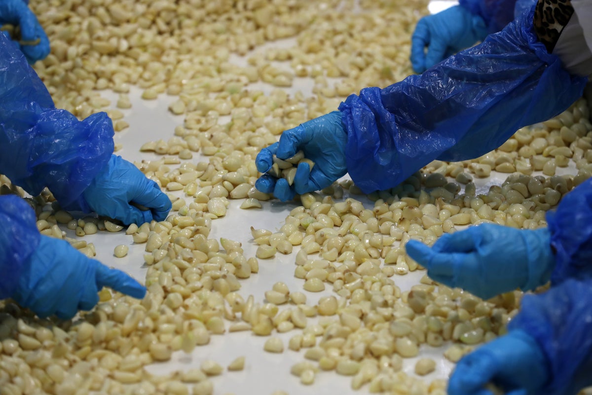 Garlic powder could help treat asthma or lower blood pressure