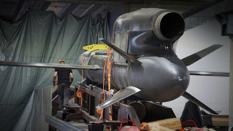 Will Ukraine’s new long-range Flamingo cruise missile put Russia on red ...