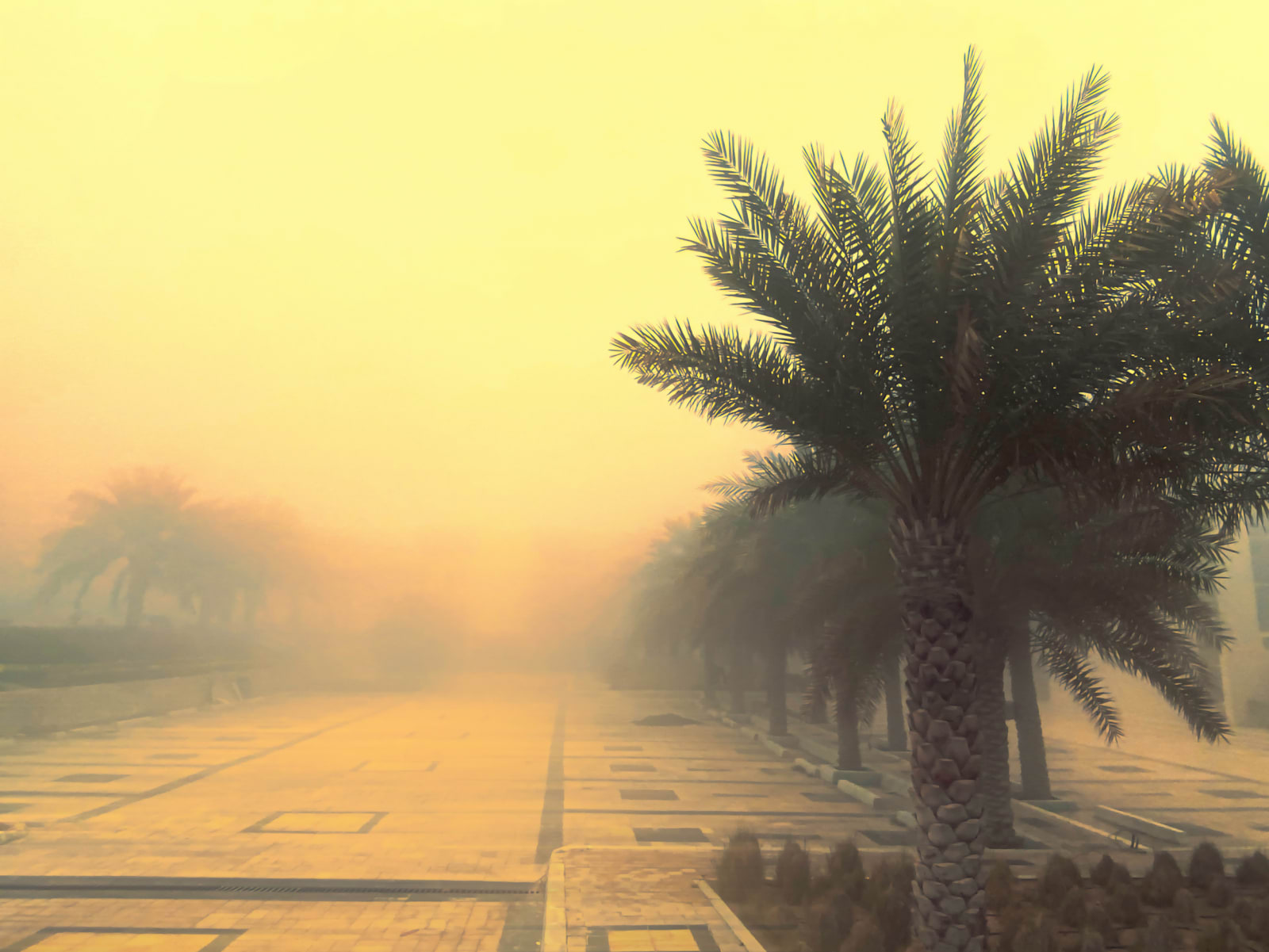 Haboob in Phoenix: What It Means, How It Forms, and Why Residents Fear ...