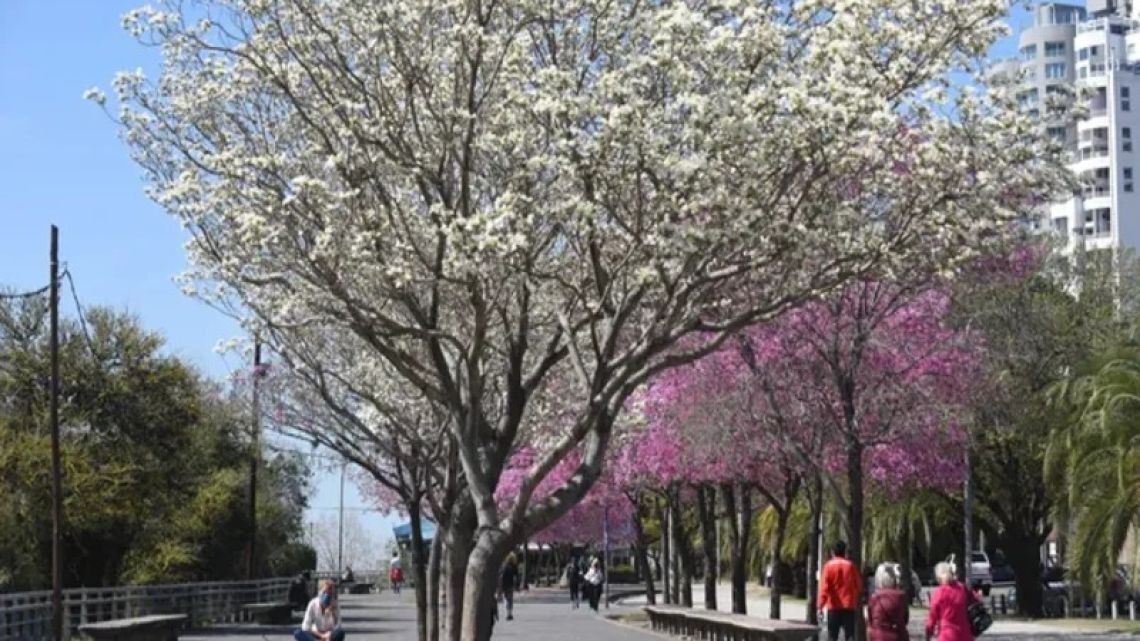 La primavera cada vez más cerca: se pronostican temperaturas cálidas en ...