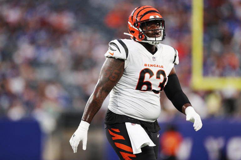 Packers release former Georgia football offensive lineman Trey Hill