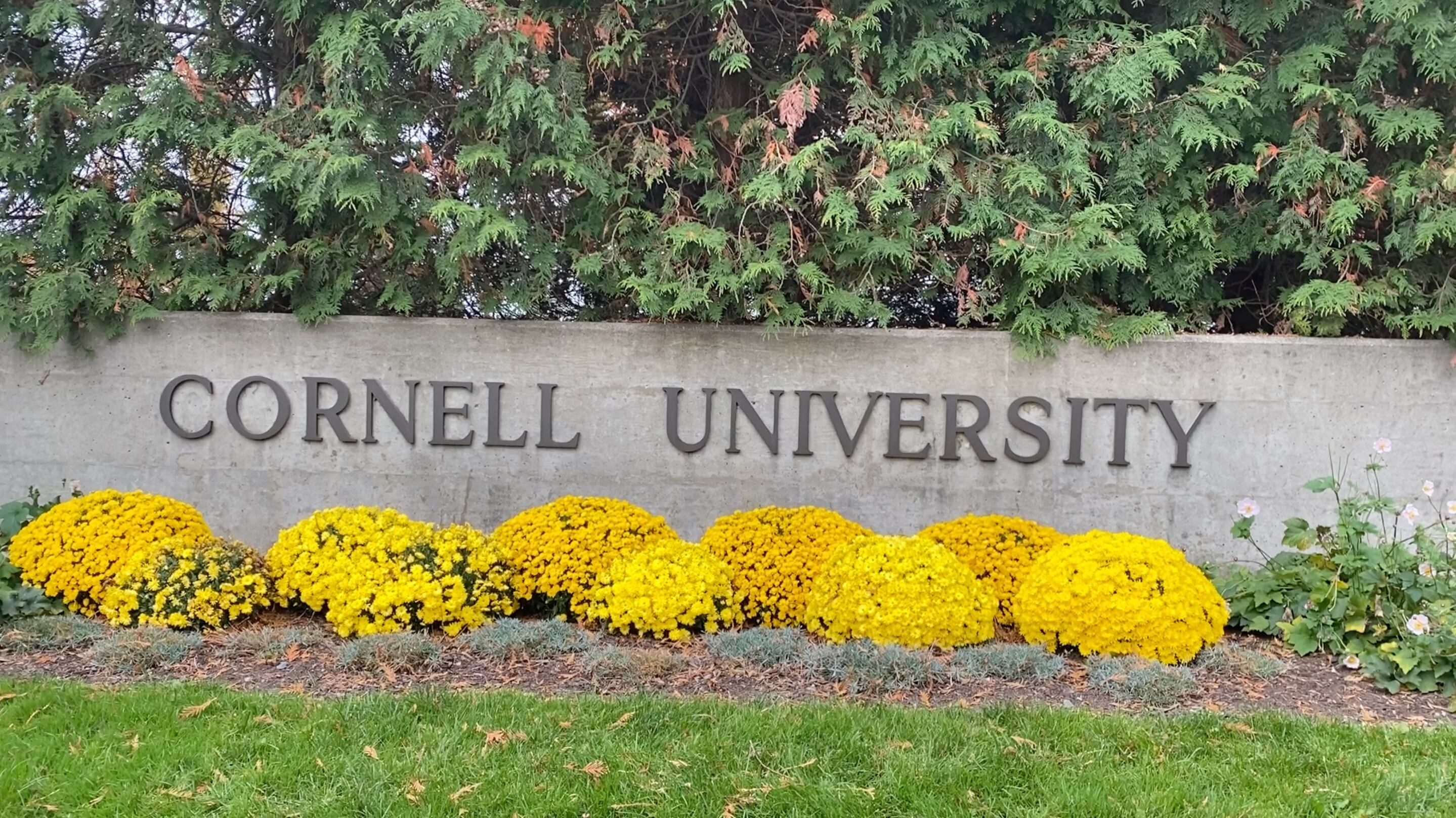 SUNY Broome, Cornell to sign transfer agreement for online bachelor’s ...