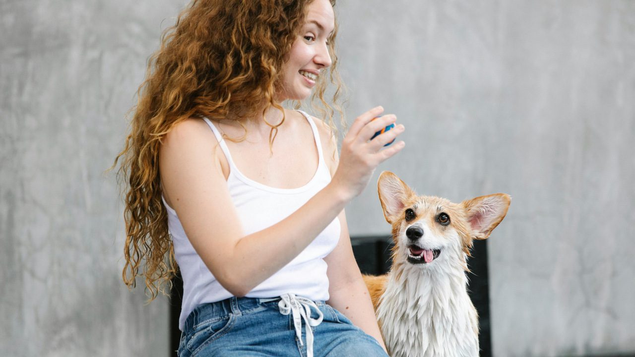 The 14 Things Only Dog Trainers Know (That You Don't)