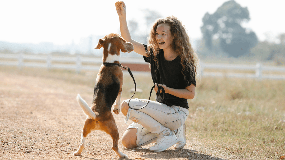 The 14 Things Only Dog Trainers Know (That You Don't)