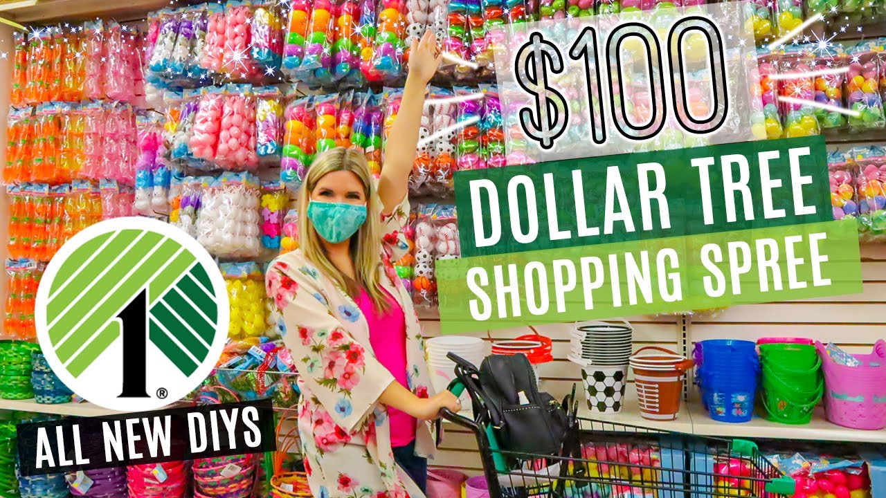 $100 Dollar Tree Shopping Spree - You Won’t Believe What I Found!