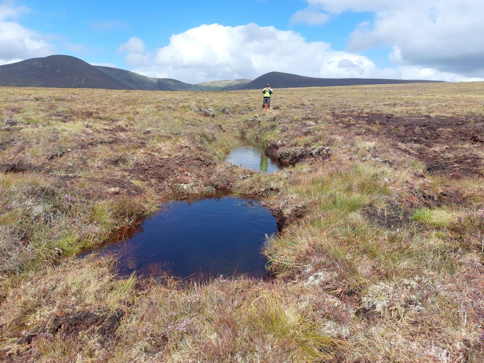 Durrell Wildlife Conservation Trust begins first major phase of ...