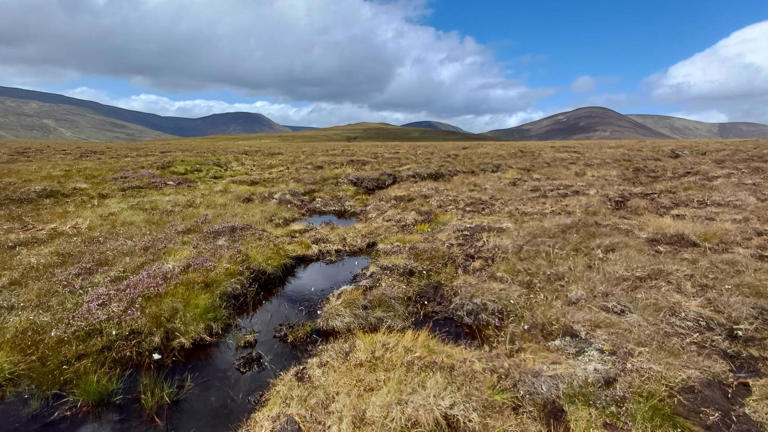 Durrell Wildlife Conservation Trust begins first major phase of ...