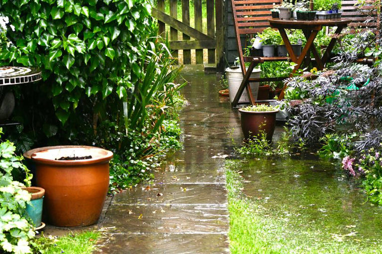 UK households urged to leave pans outside from today