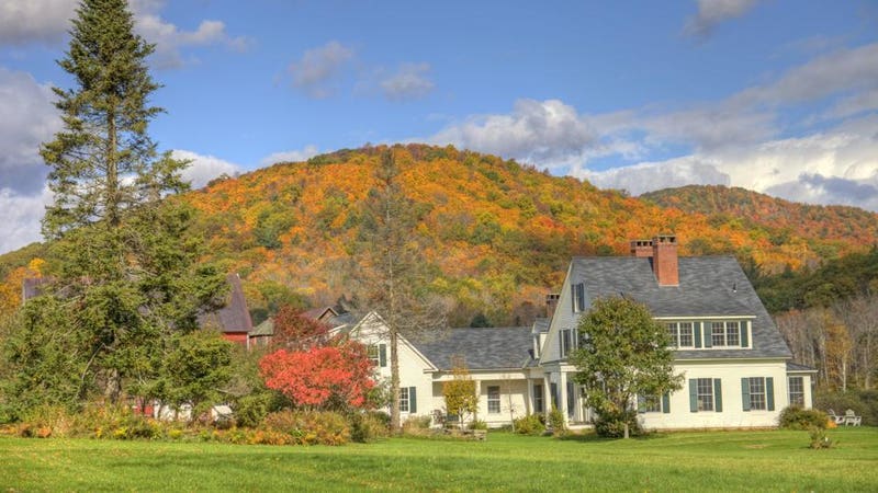 How to set up an LLC in Vermont