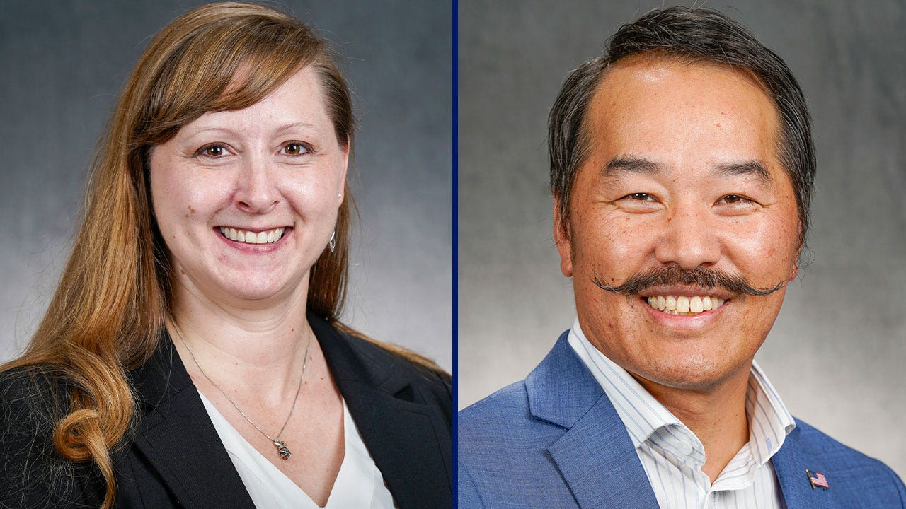 Minnesota Senate District 47 primary: Candidates battle for Nicole ...