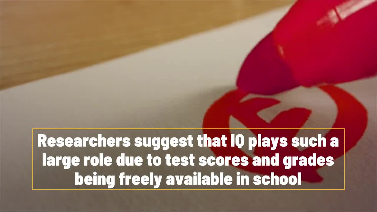 Teenagers With High IQ Levels Like Fewer People