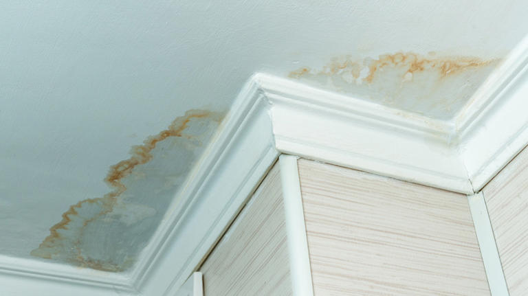 The Two Household Staples That'll Bring Water-Stained Ceilings Back To Life