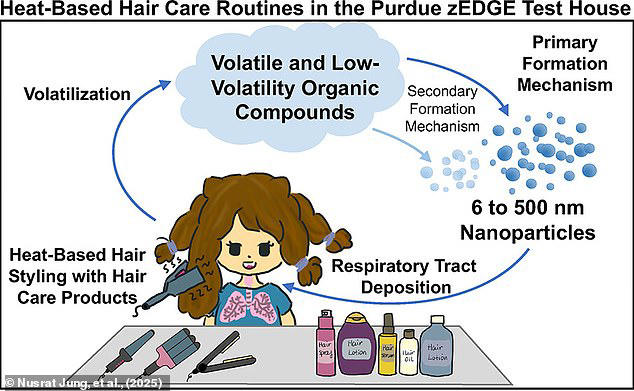 Scientists issue urgent warning over blow-drying your HAIR - as they ...