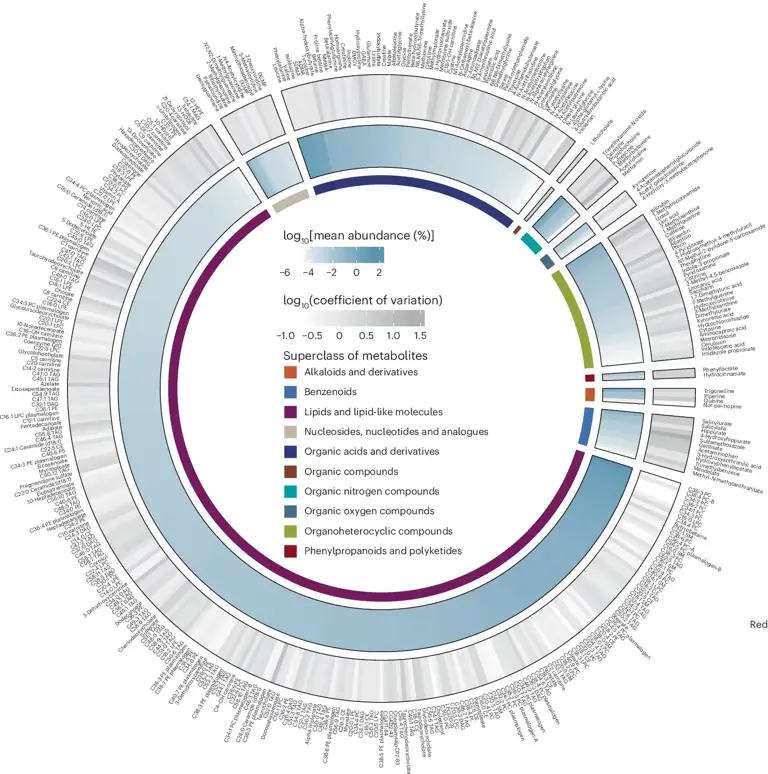 Mediterranean diet can slow memory decline and reduce dementia risk