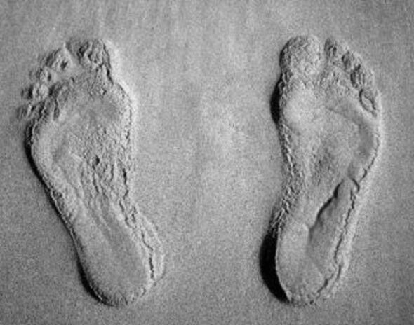 Archaeologists discover 115,000 year old human footprints in huge ...