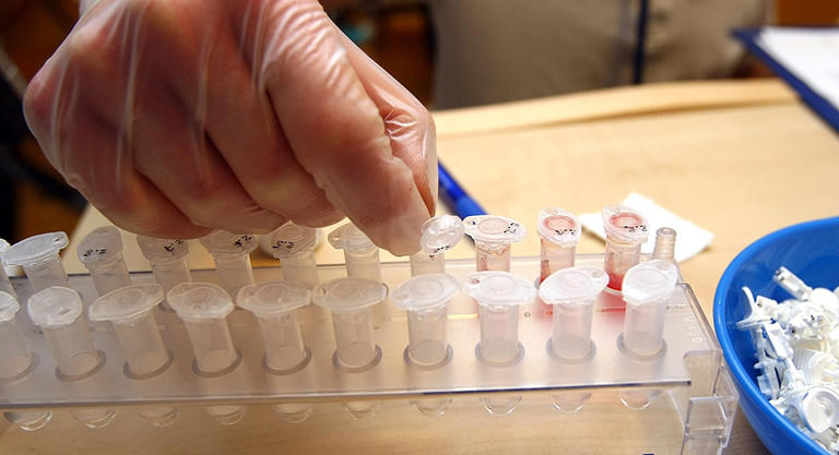 'Invasive' gene test by World Athletics causing headaches before world ...